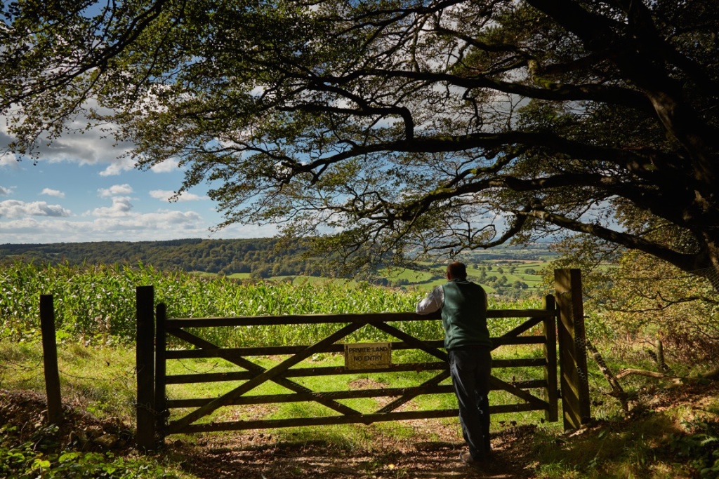 Get in touch | Combe Estate